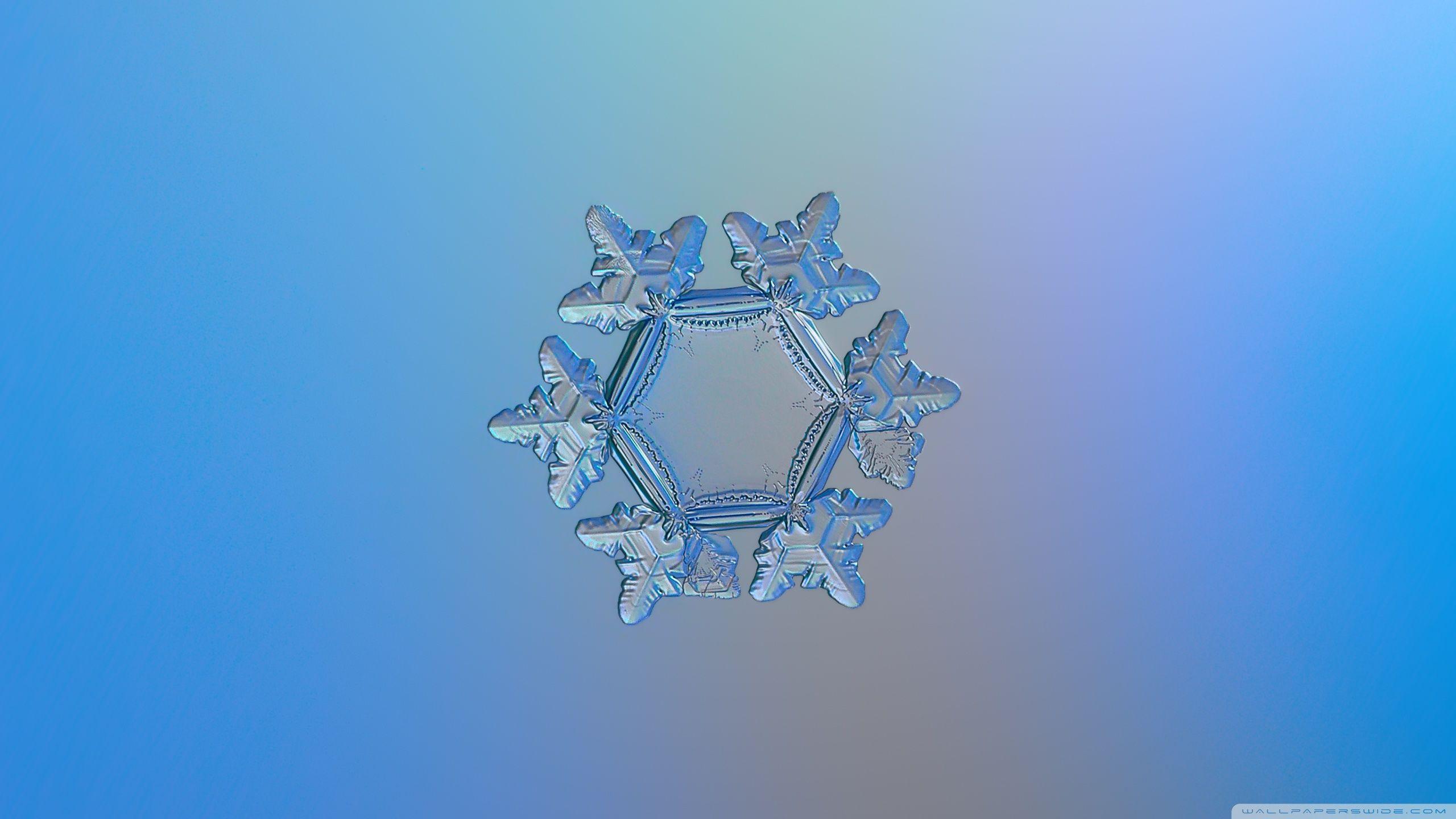 Microscopy Wallpapers - Top Free Microscopy Backgrounds - WallpaperAccess