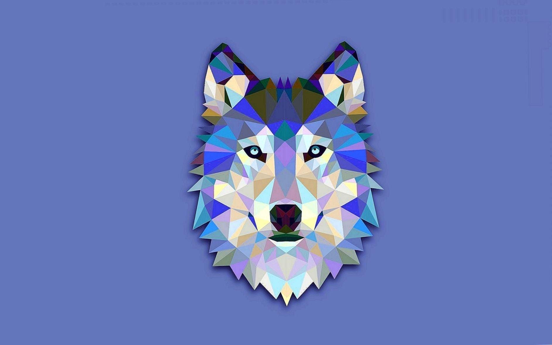 Head Wallpapers - Top Free Head Backgrounds - WallpaperAccess