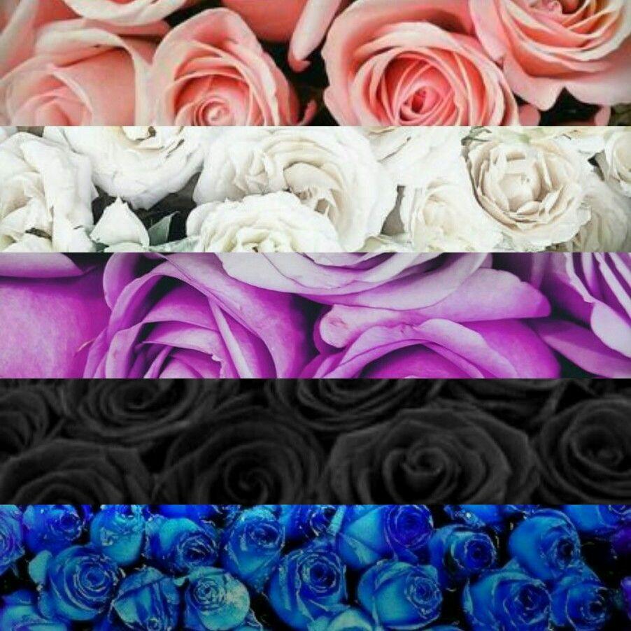 Genderfluid Flag Wallpapers - Top Free Genderfluid Flag Backgrounds ...