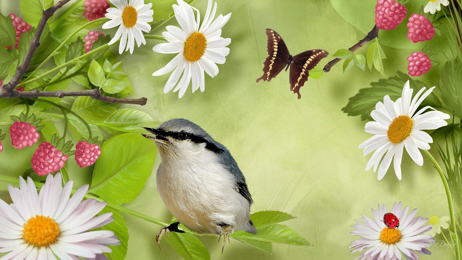 Birds And Butterflies Wallpapers Top Free Birds And Butterflies Backgrounds WallpaperAccess birds-and-butterflies-wallpapers-top-free-birds-and-butterflies-backgrounds-wallpaperaccess