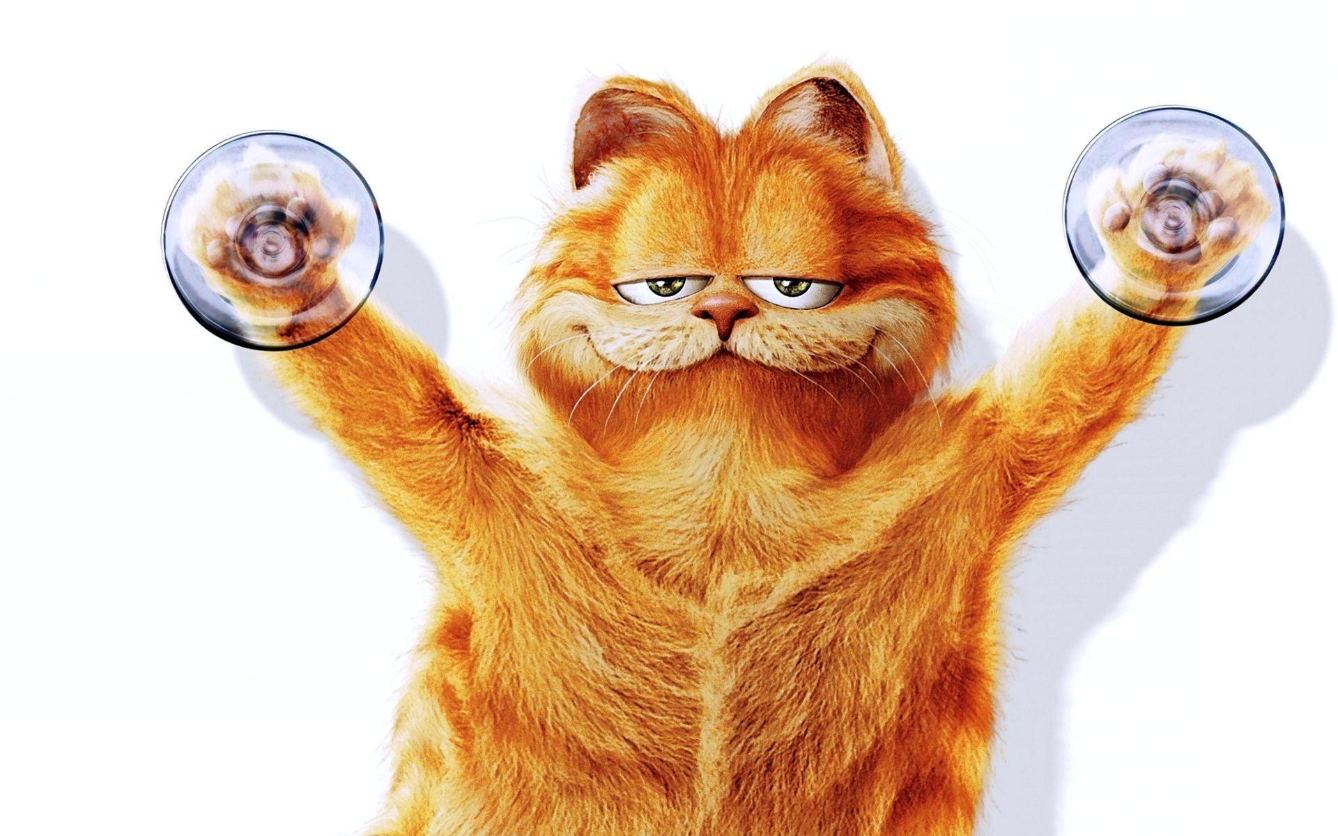 Garfield Wallpapers - Top Free Garfield Backgrounds - WallpaperAccess