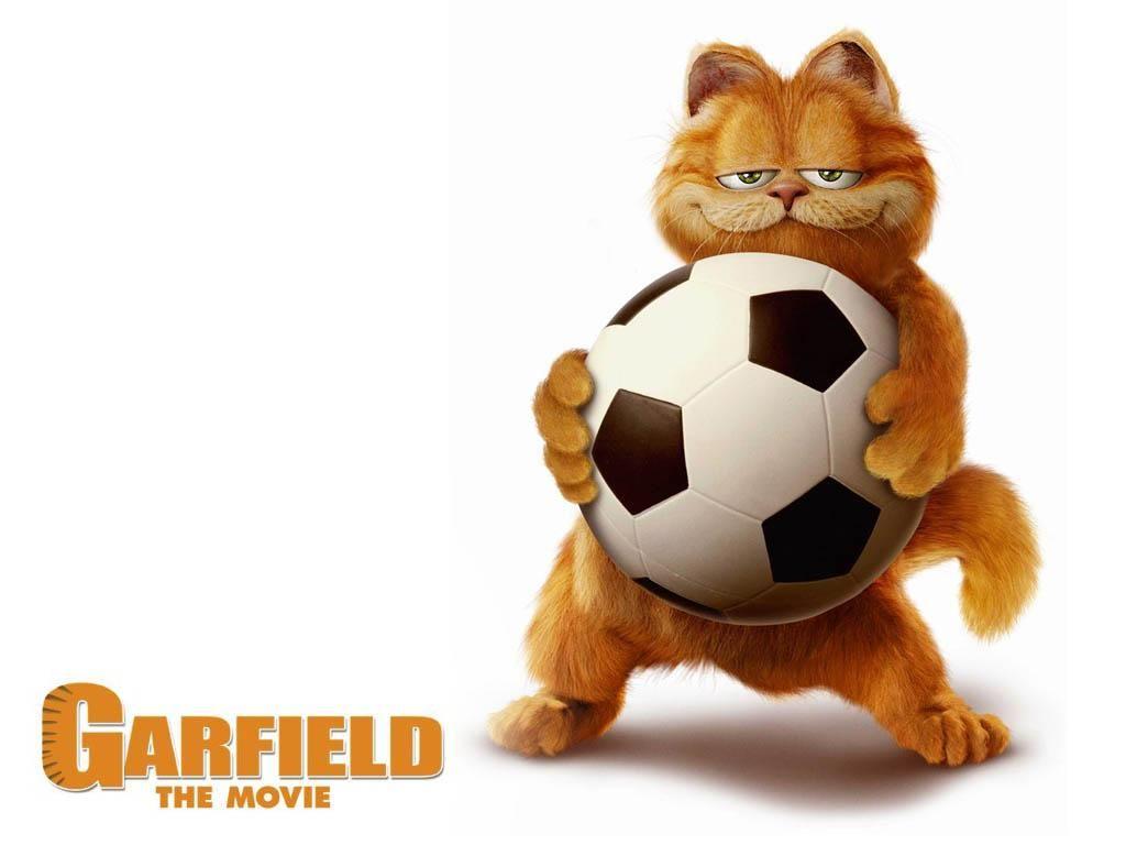 Garfield Wallpapers - Top Free Garfield Backgrounds - WallpaperAccess