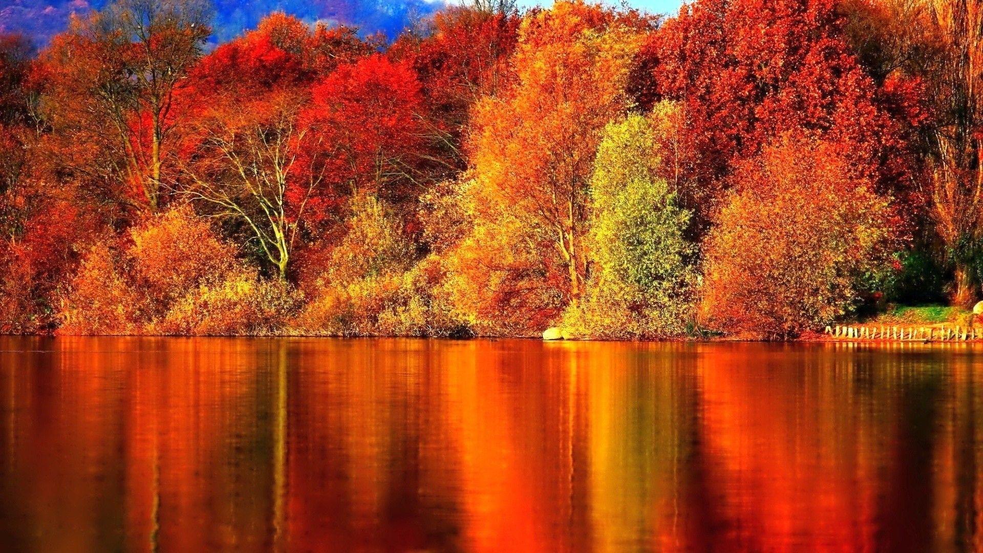 Autumn Scenes Wallpapers - Top Free Autumn Scenes Backgrounds ...