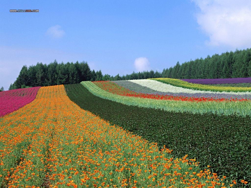 Spring Farm Scenes Wallpapers - Top Free Spring Farm Scenes Backgrounds ...