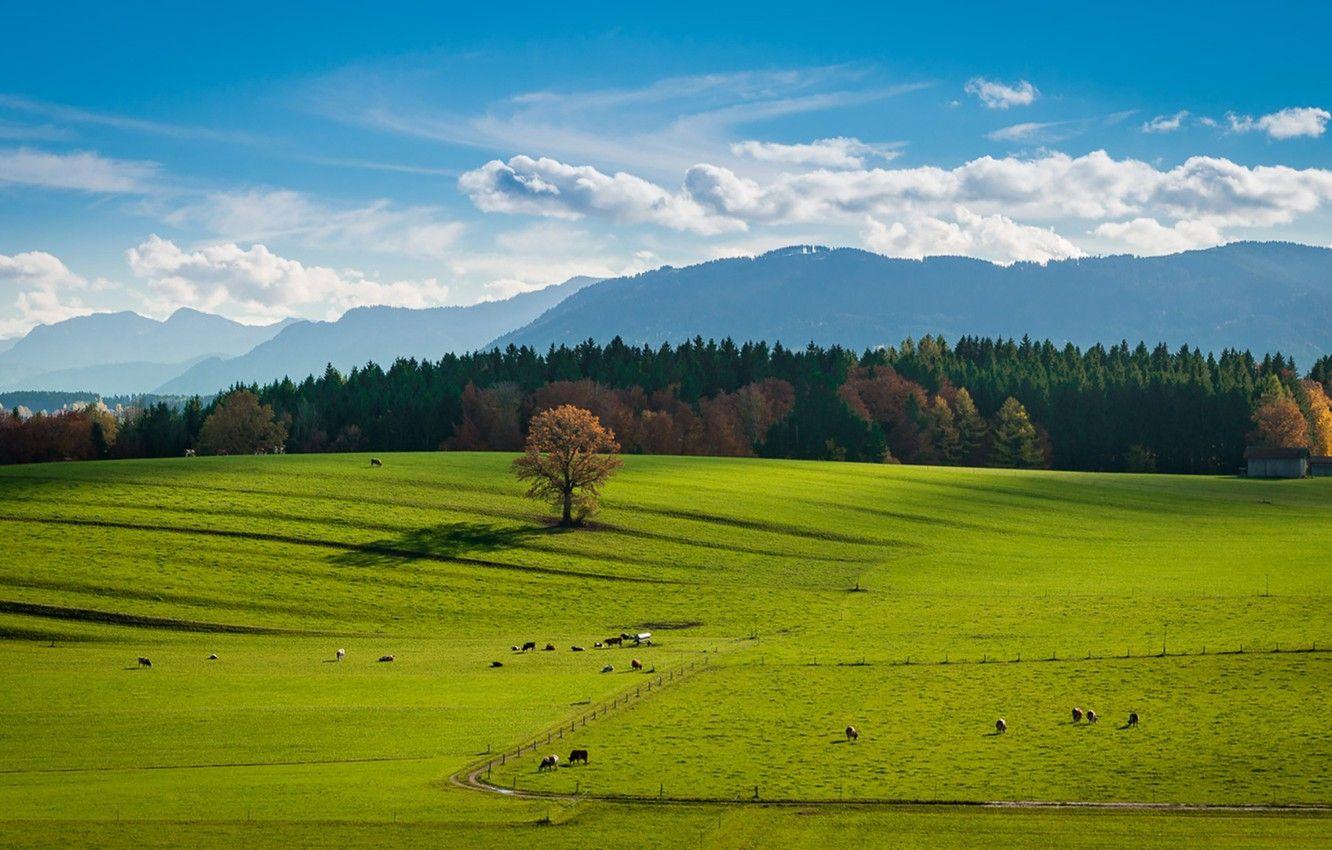 Country Farm Scene Wallpapers - Top Free Country Farm Scene Backgrounds ...