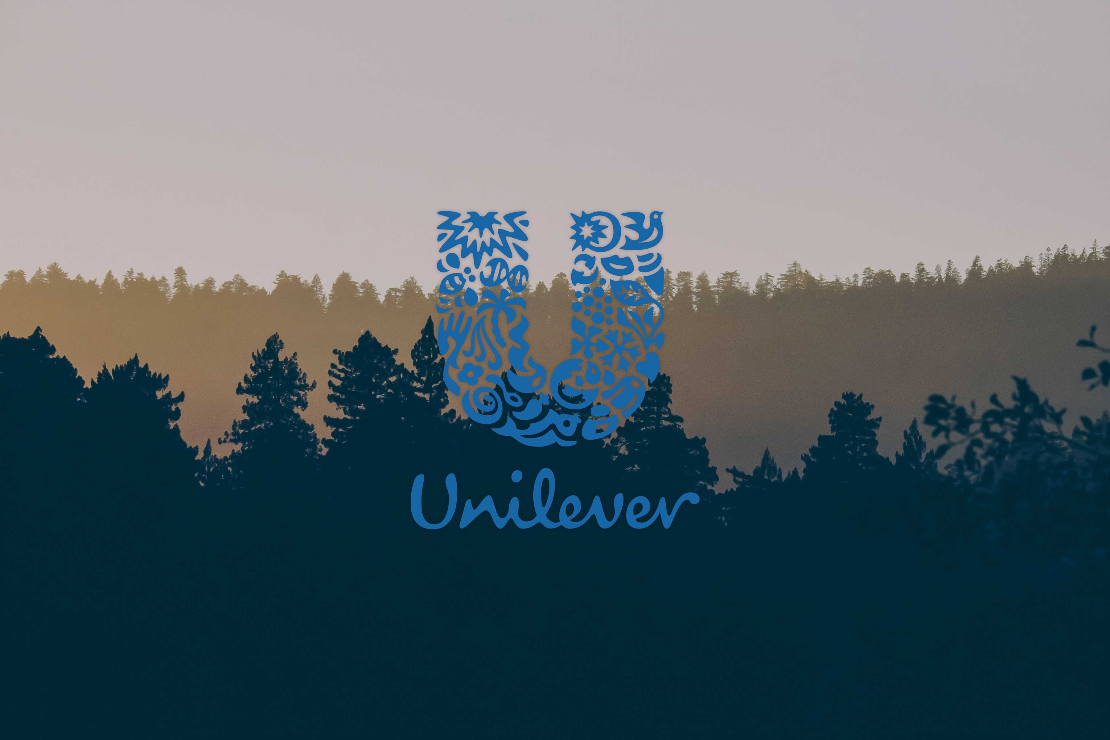 Unilever Wallpapers - Top Free Unilever Backgrounds - WallpaperAccess