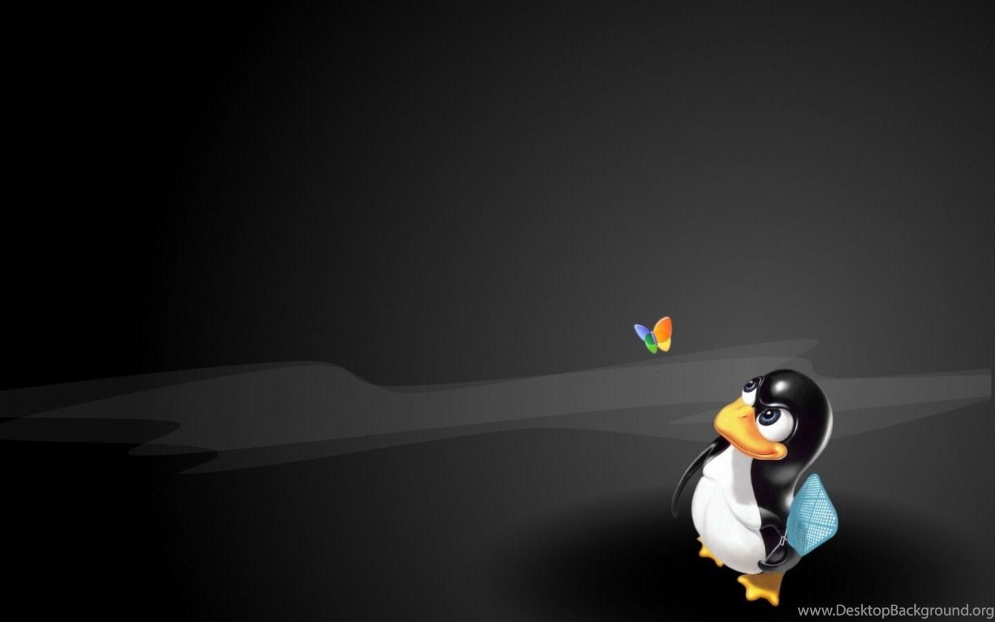 Cool Penguin Wallpapers - Top Free Cool Penguin Backgrounds ...