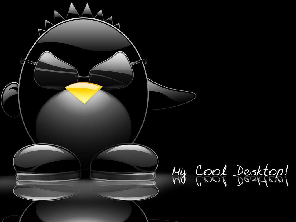 Cool Penguin Wallpapers - Top Free Cool Penguin Backgrounds ...