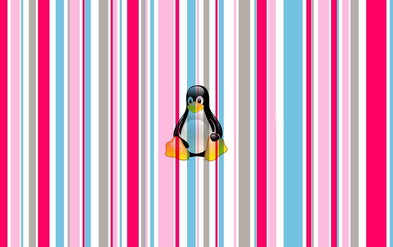 Pink Penguin Wallpapers - Top Free Pink Penguin Backgrounds - WallpaperAccess