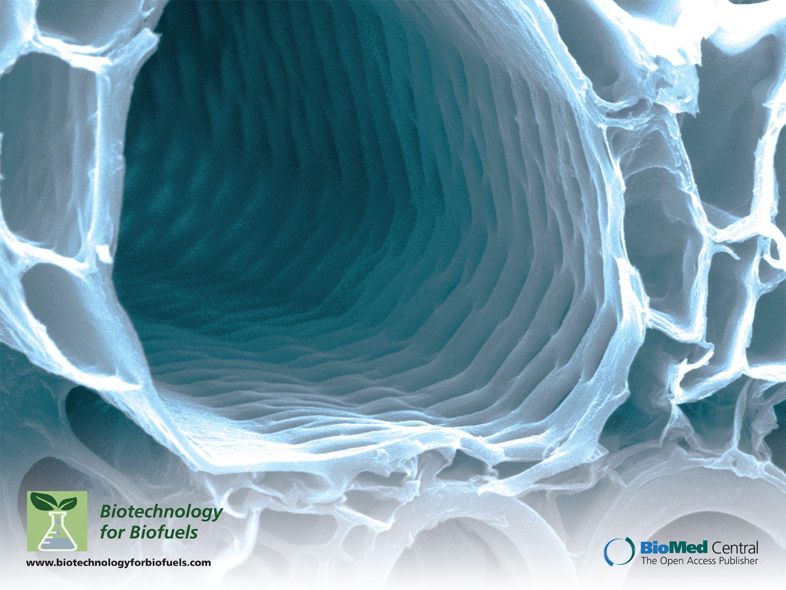 Biotech Wallpapers - Top Free Biotech Backgrounds - WallpaperAccess