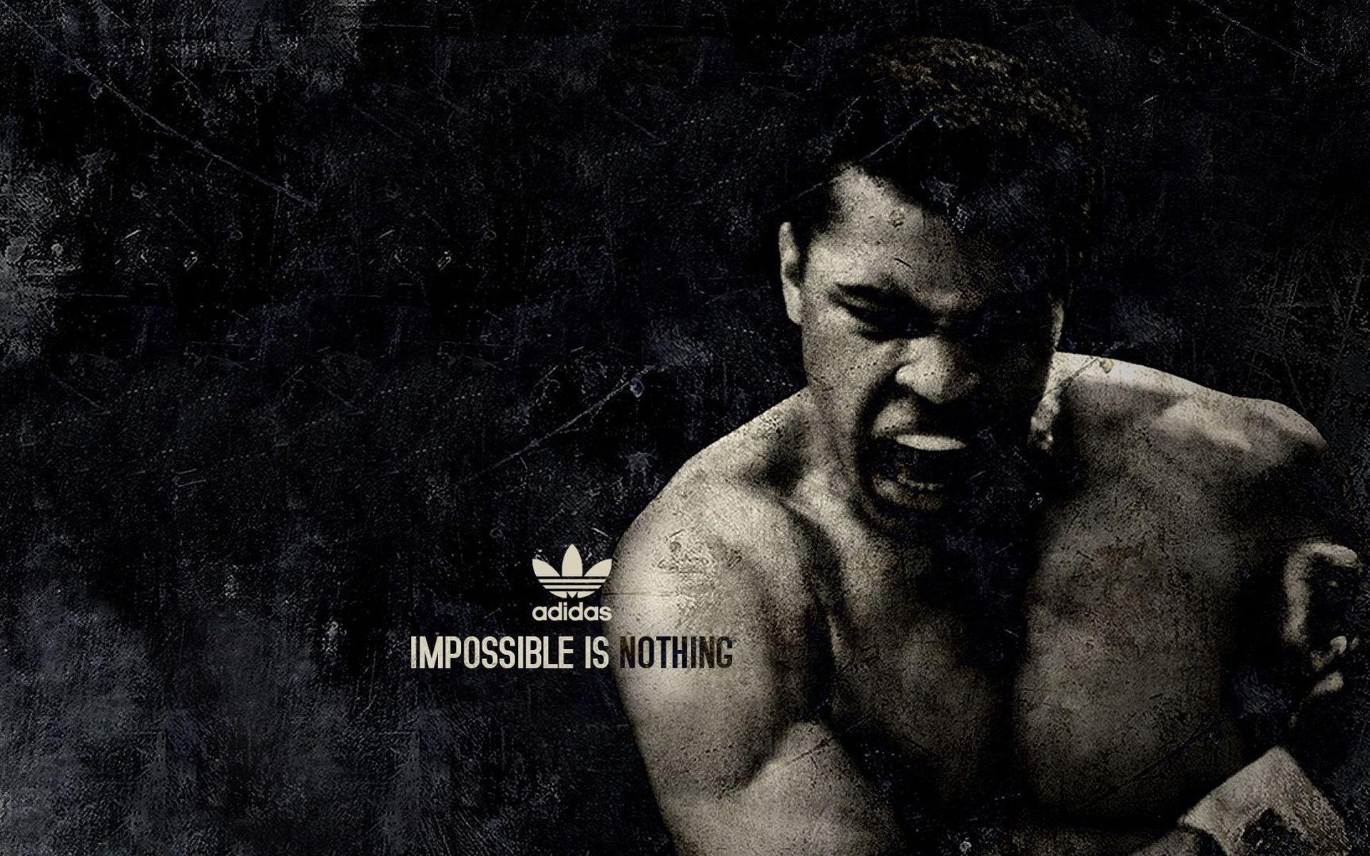 MMA Wallpapers - Top Free MMA Backgrounds - WallpaperAccess