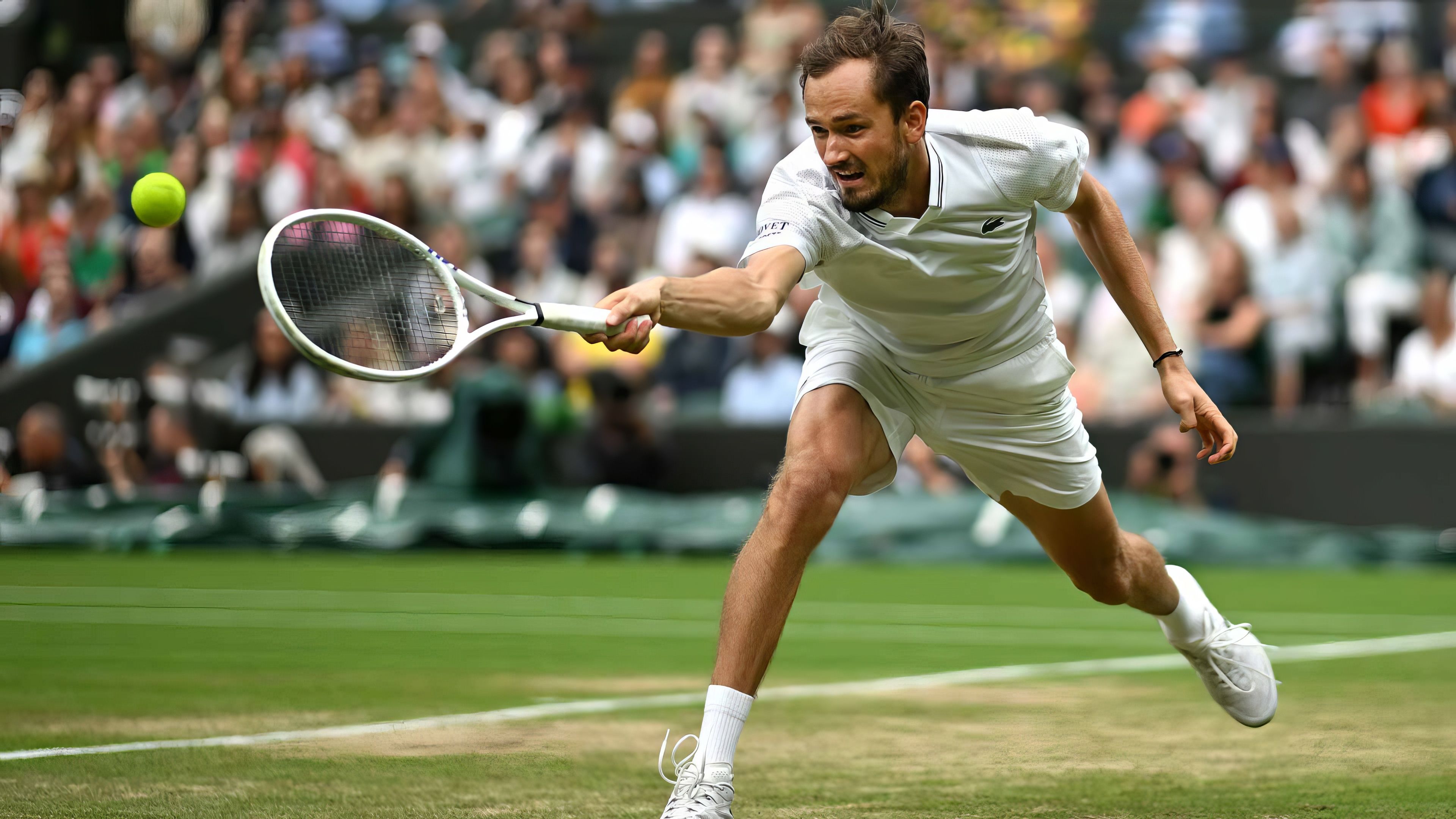 Daniil Medvedev Wallpapers - Top Free Daniil Medvedev Backgrounds ...