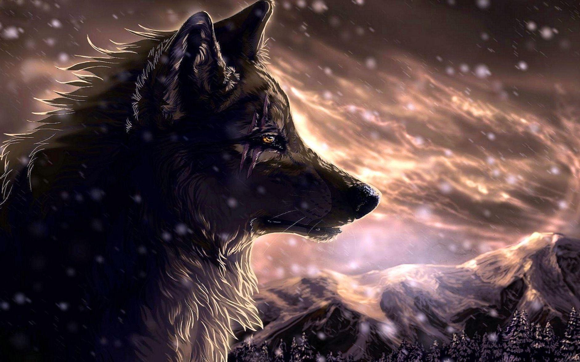 Fantasy Wolf Wallpapers - Top Free Fantasy Wolf Backgrounds ...