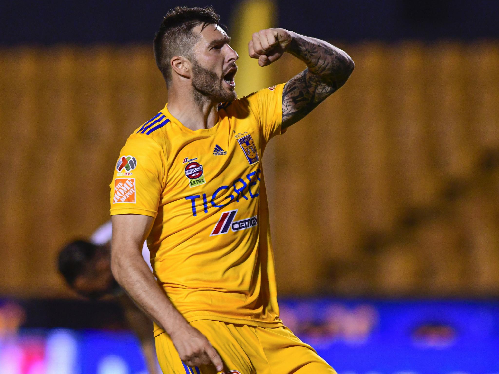 Andre Pierre Gignac Wallpapers - Top Free Andre Pierre Gignac ...