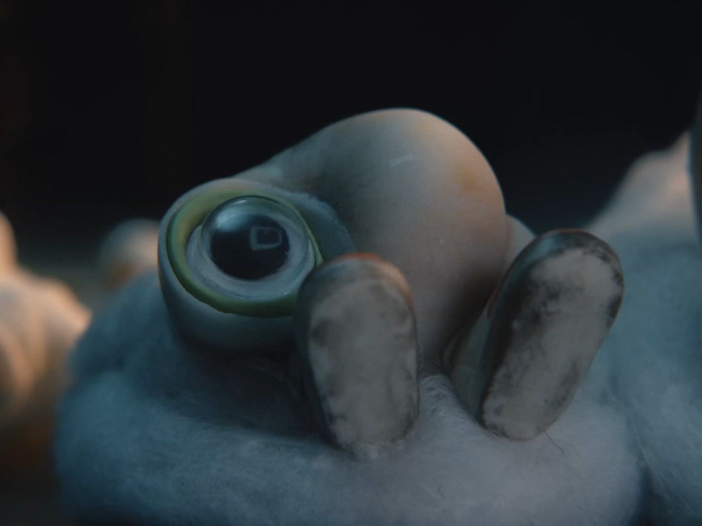 Marcel The Shell Wallpapers - Top Free Marcel The Shell Backgrounds ...