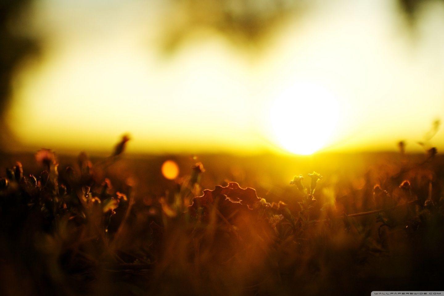 Sun Light Wallpapers - Top Free Sun Light Backgrounds - WallpaperAccess