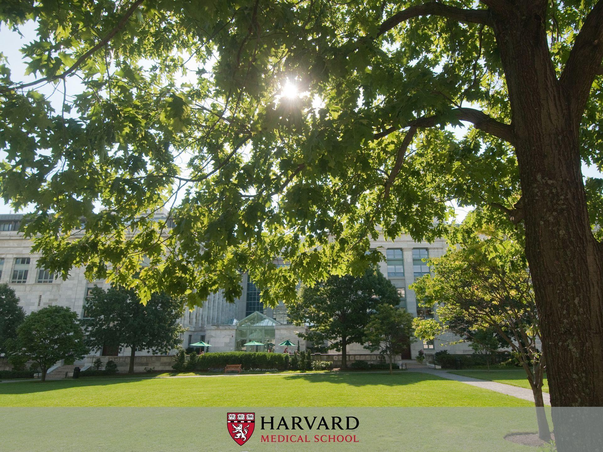 Harvard Medical School Wallpapers - Top Free Harvard Medical School ...