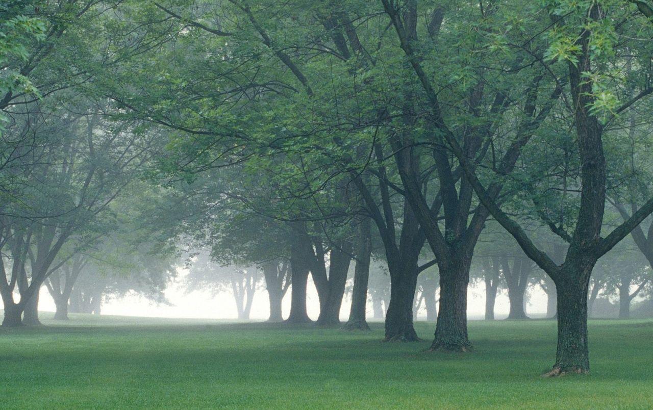 Early Morning Wallpapers - Top Free Early Morning Backgrounds ...