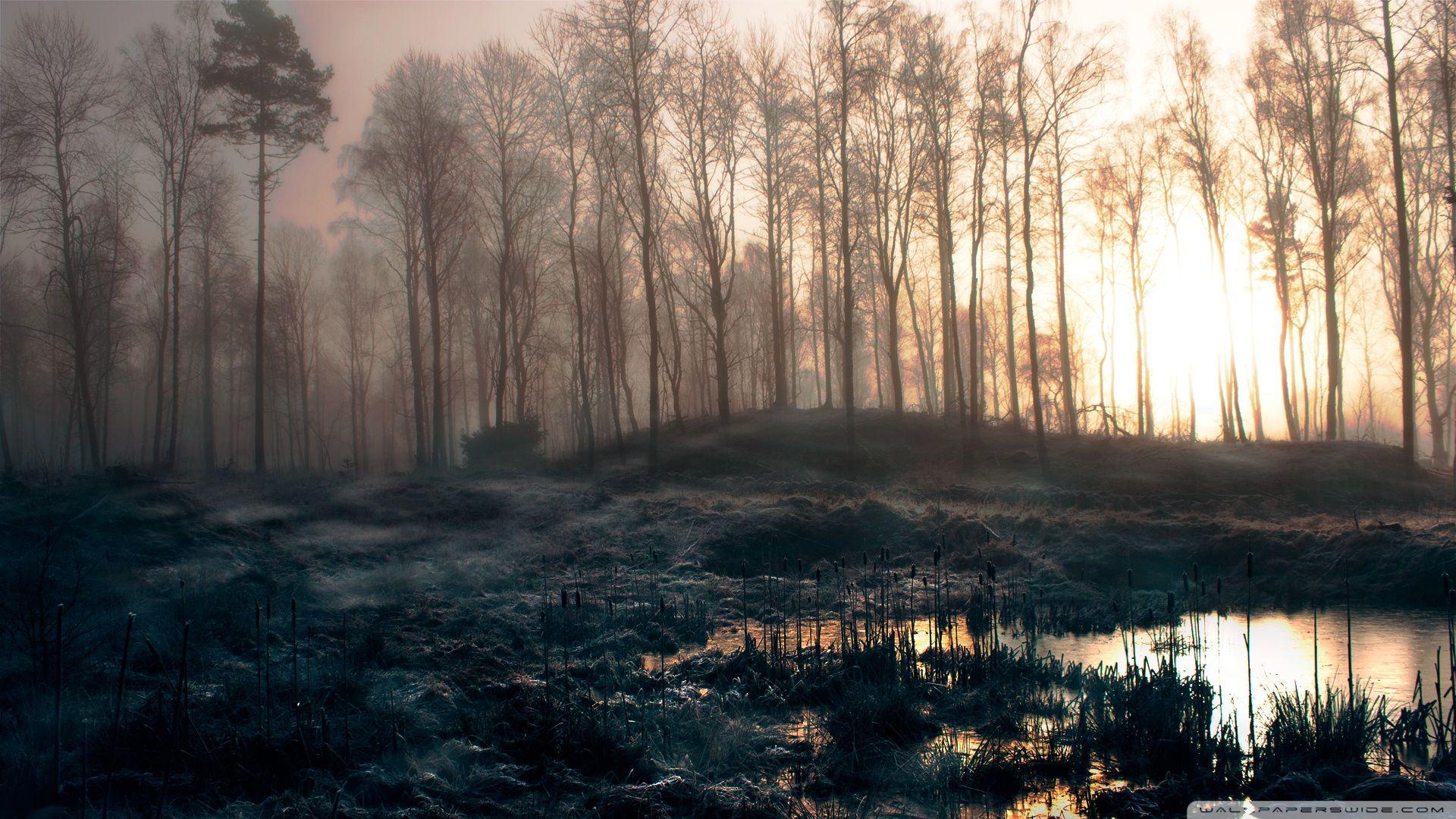 Early Morning Wallpapers - Top Free Early Morning Backgrounds ...