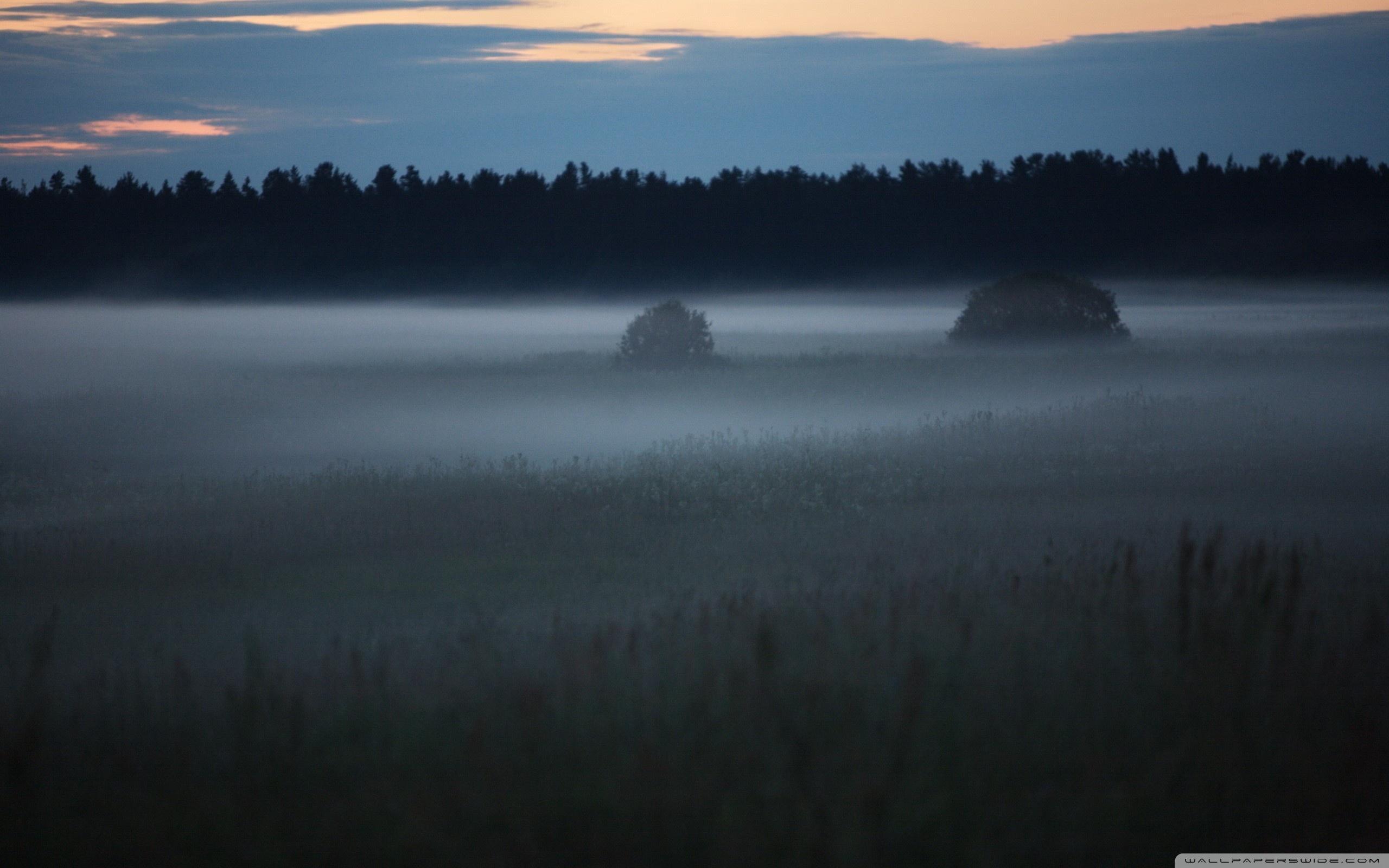 Early Morning Wallpapers - Top Free Early Morning Backgrounds ...