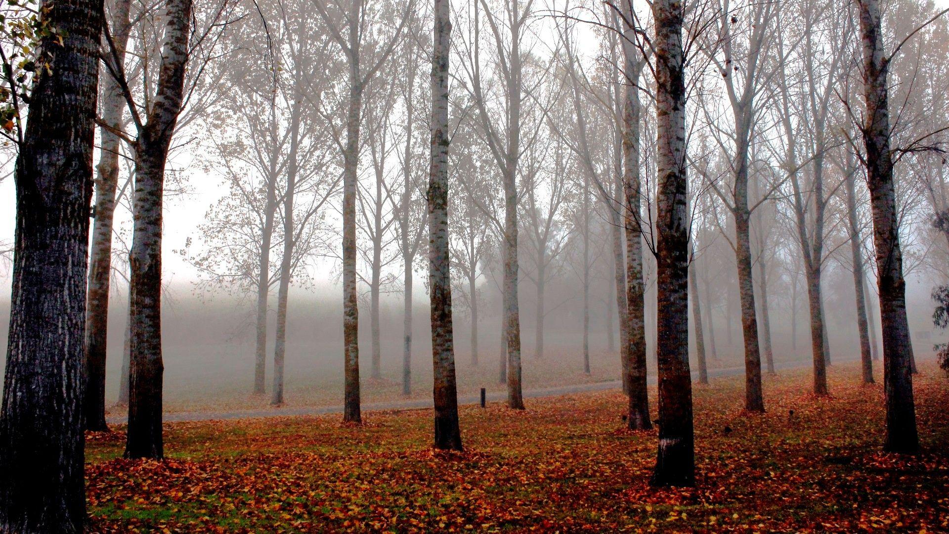 Early Morning Wallpapers - Top Free Early Morning Backgrounds ...