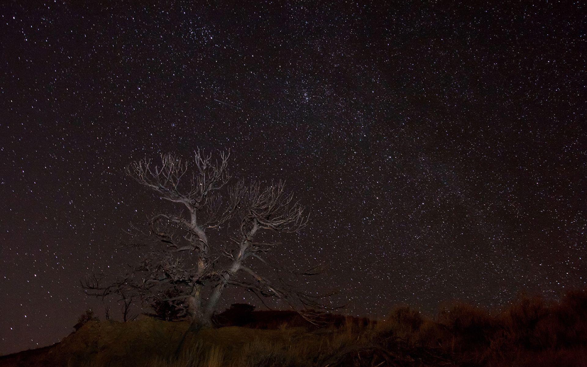 Desert Night Wallpapers - Top Free Desert Night Backgrounds ...
