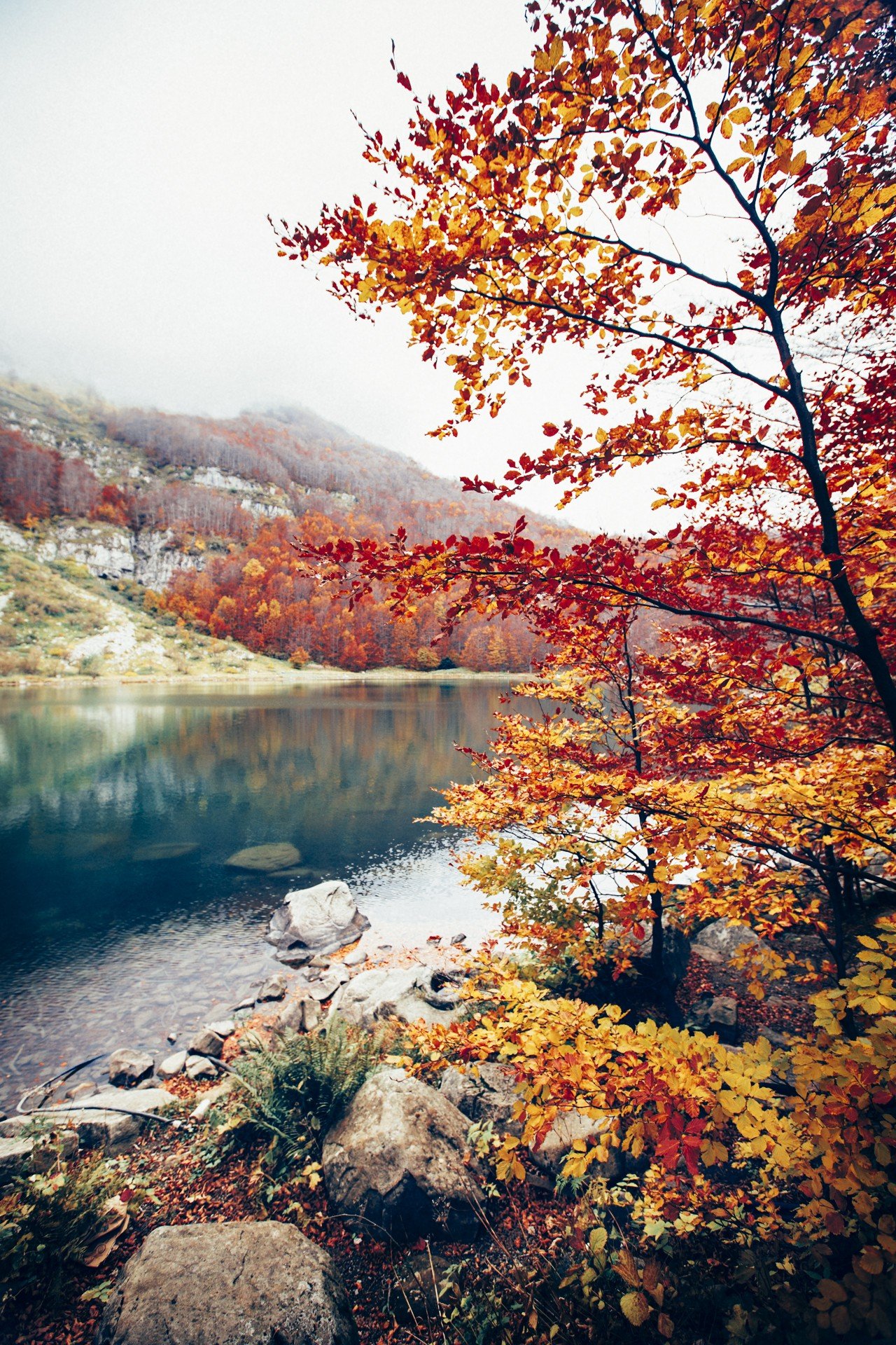 Portrait Landscape Wallpapers - Top Free Portrait Landscape Backgrounds ...
