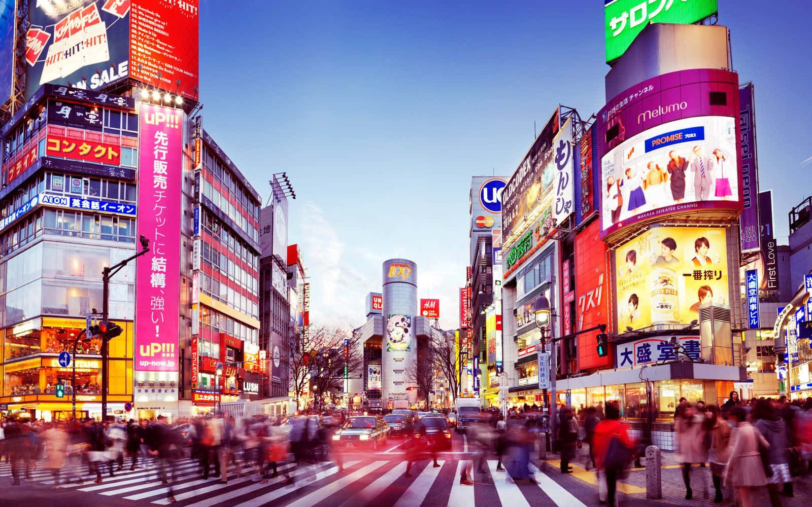 Tokyo Shibuya Wallpapers - Top Free Tokyo Shibuya Backgrounds ...