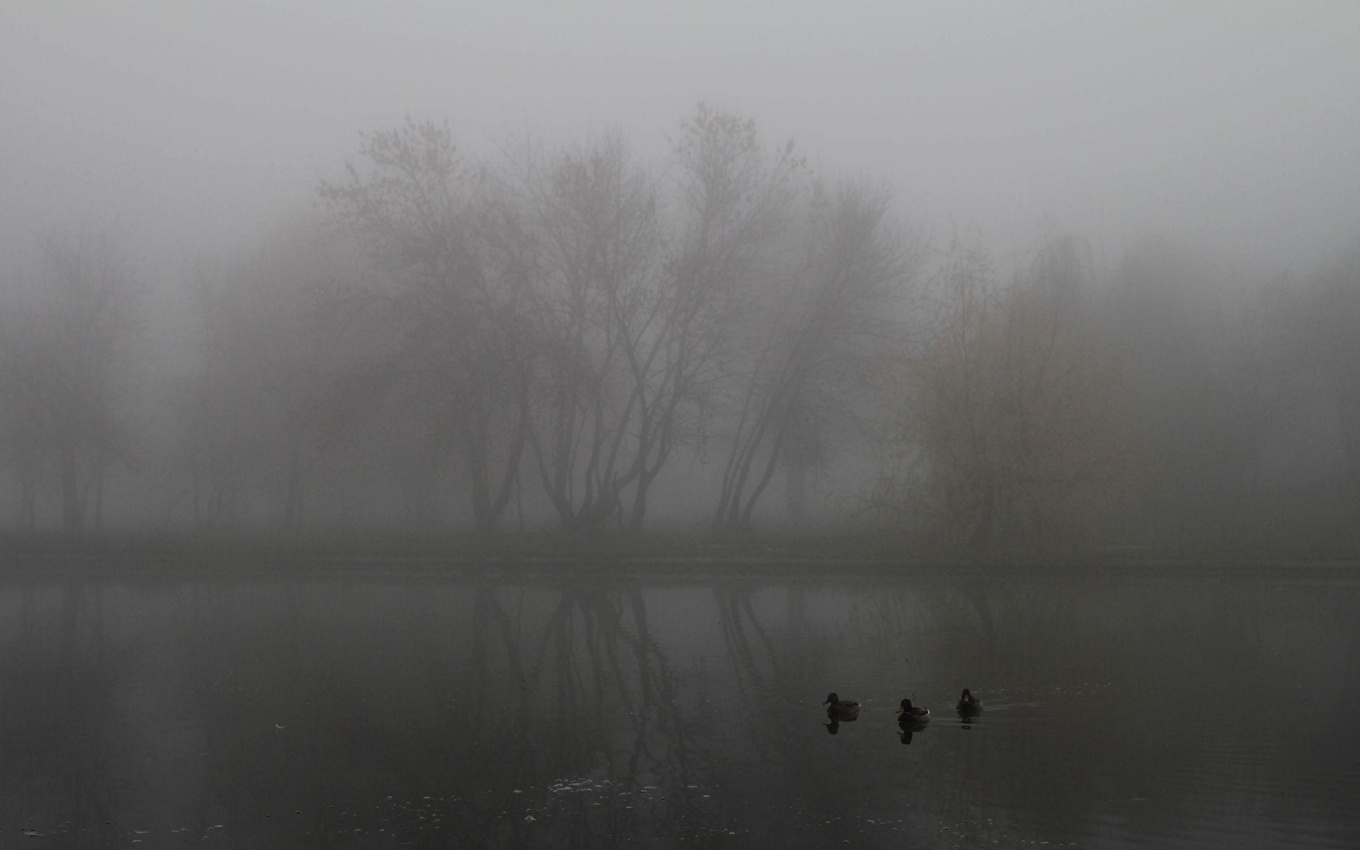 Mist Wallpapers - Top Free Mist Backgrounds - WallpaperAccess