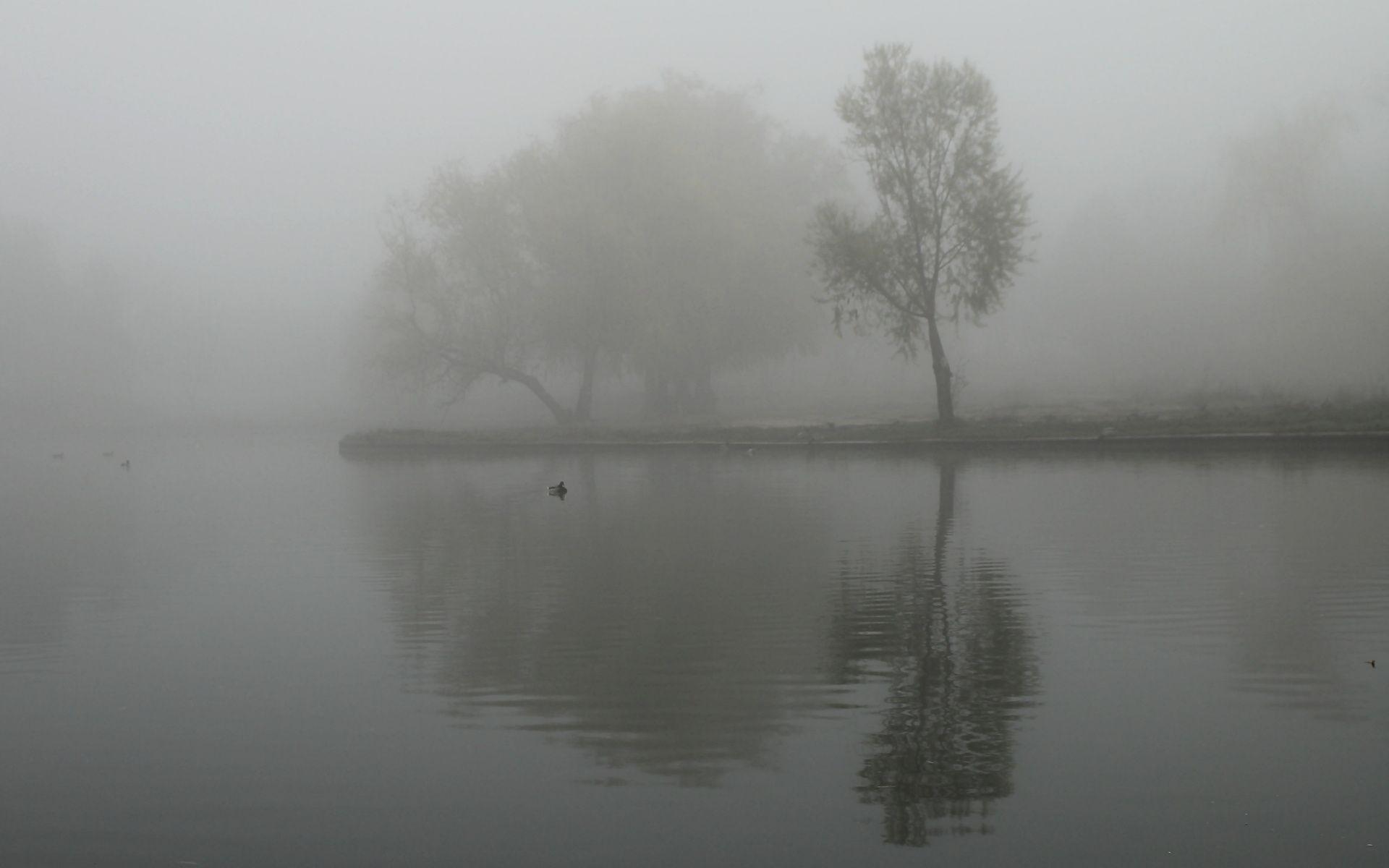 Mist Wallpapers - Top Free Mist Backgrounds - WallpaperAccess