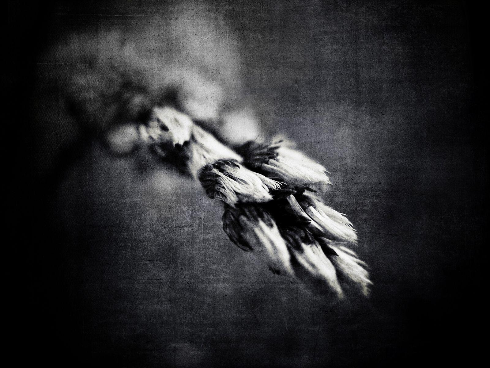 Sorrow Wallpapers - Top Free Sorrow Backgrounds - WallpaperAccess