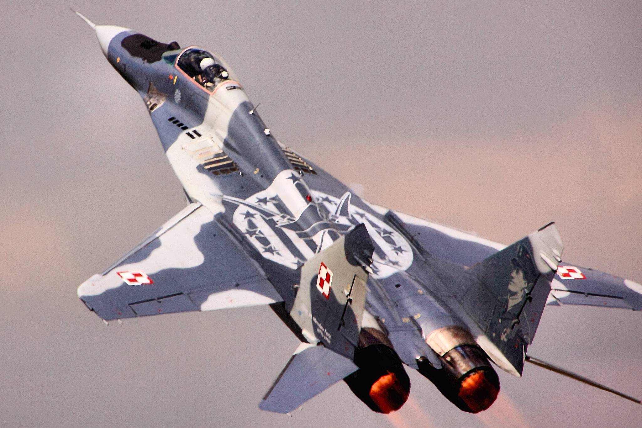 MiG-29 Wallpapers - Top Free MiG-29 Backgrounds - WallpaperAccess
