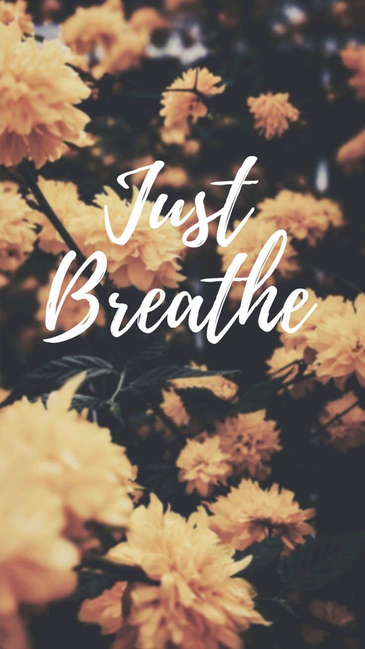 Just Breathe Wallpapers - Top Free Just Breathe Backgrounds ...