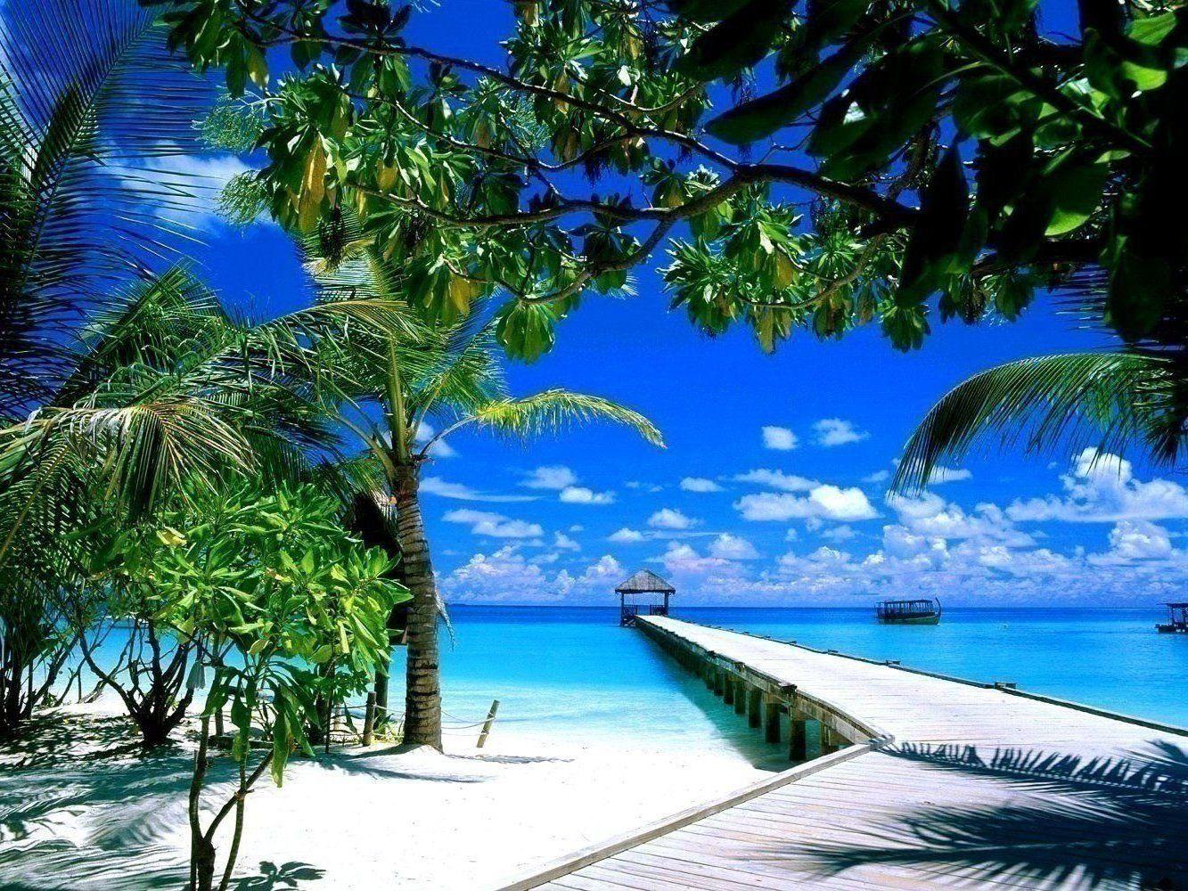 Florida Desktop Wallpapers - Top Free Florida Desktop Backgrounds ...