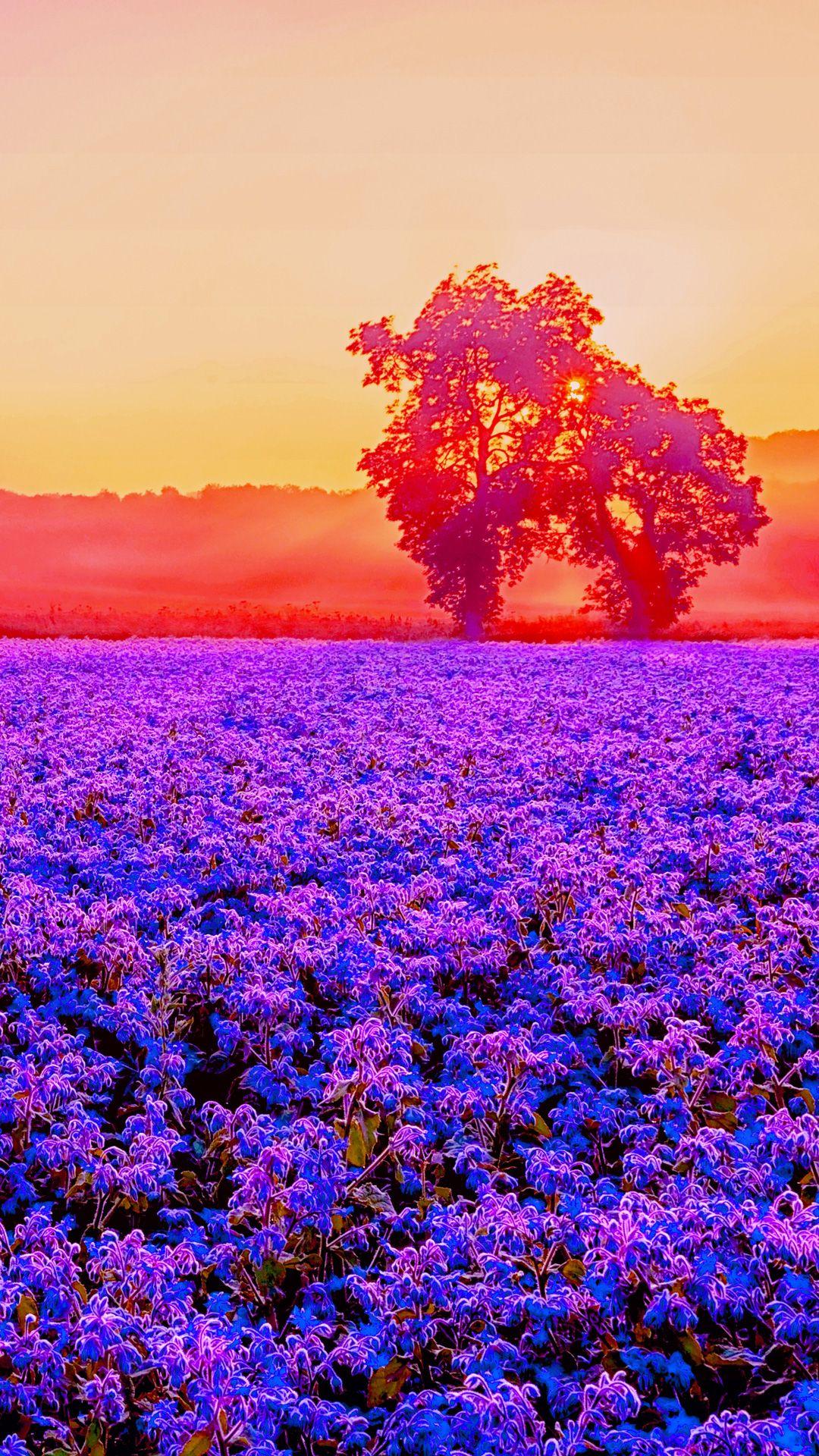 Bright Nature Wallpapers - Top Free Bright Nature Backgrounds ...