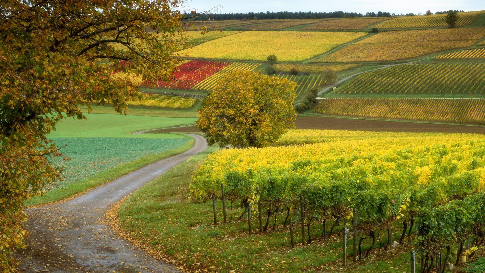 French Countryside Wallpapers - Top Free French Countryside Backgrounds ...