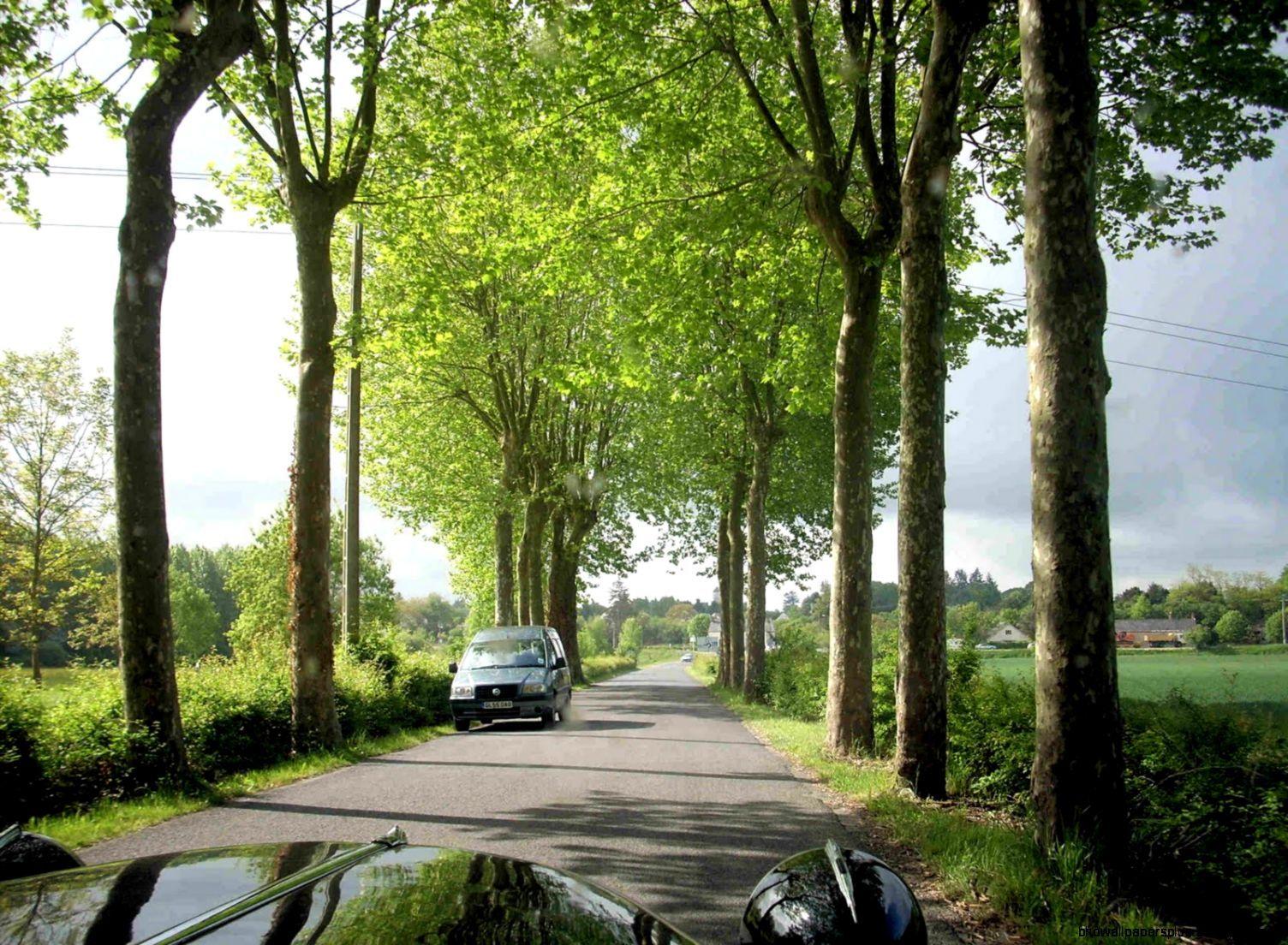 French Countryside Wallpapers - Top Free French Countryside Backgrounds ...