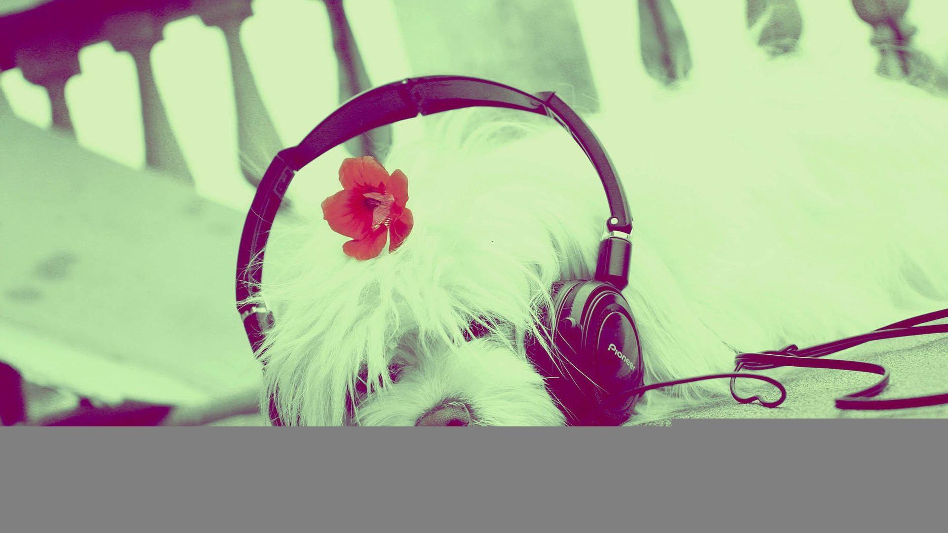 Cute Music Wallpapers - Top Free Cute Music Backgrounds - WallpaperAccess