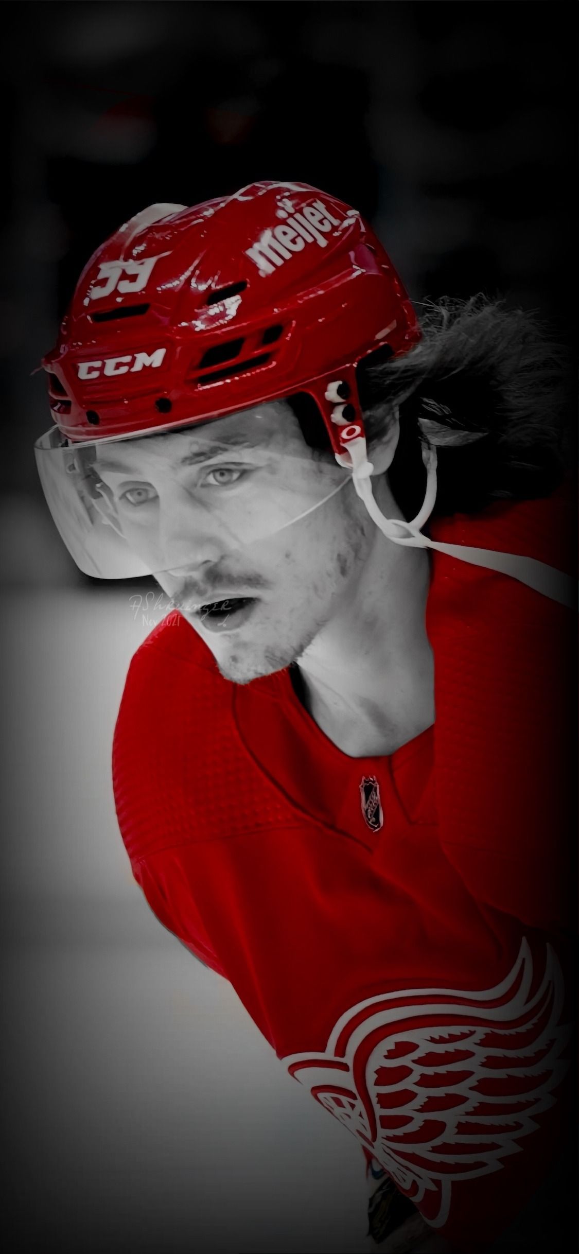 Tyler Bertuzzi Wallpapers - Top Free Tyler Bertuzzi Backgrounds ...