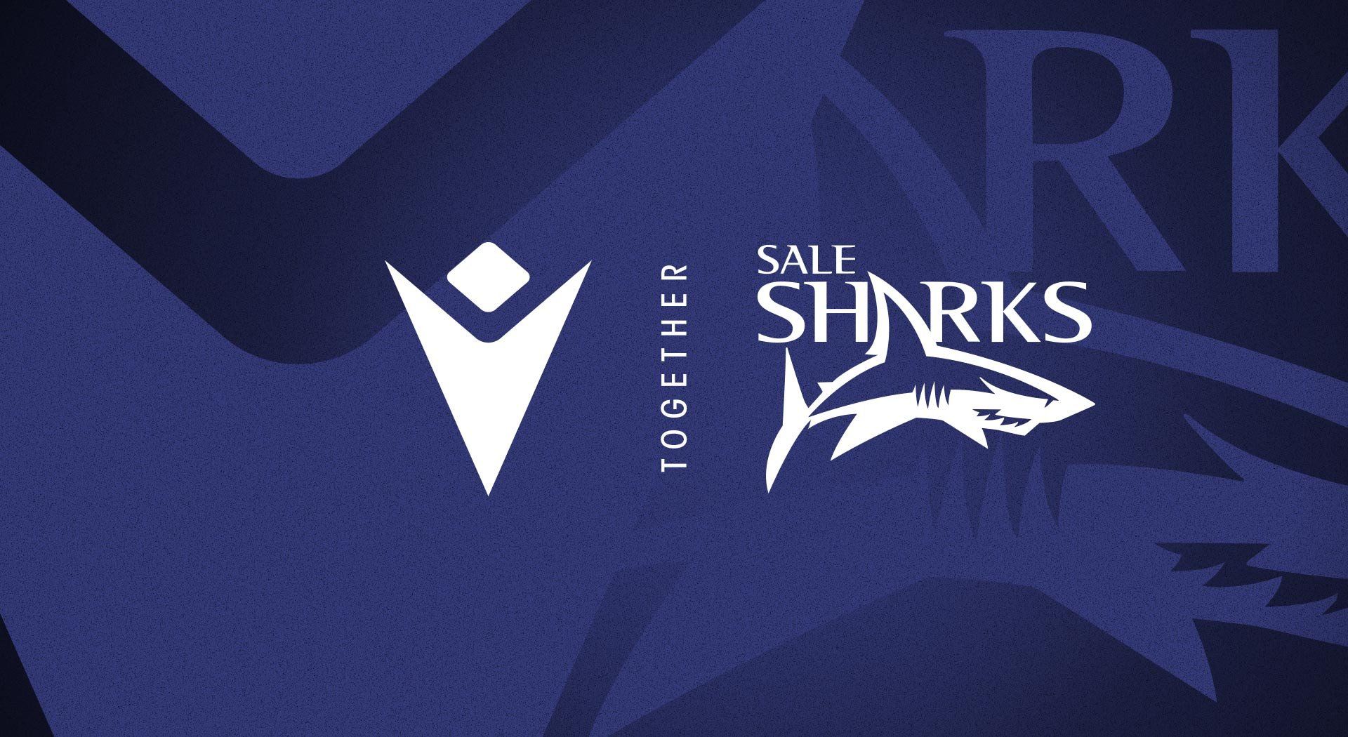 Sale Sharks Wallpapers - Top Free Sale Sharks Backgrounds - WallpaperAccess