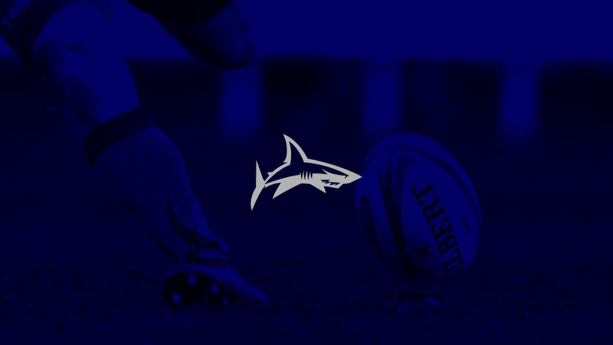 Sale Sharks Wallpapers - Top Free Sale Sharks Backgrounds - WallpaperAccess