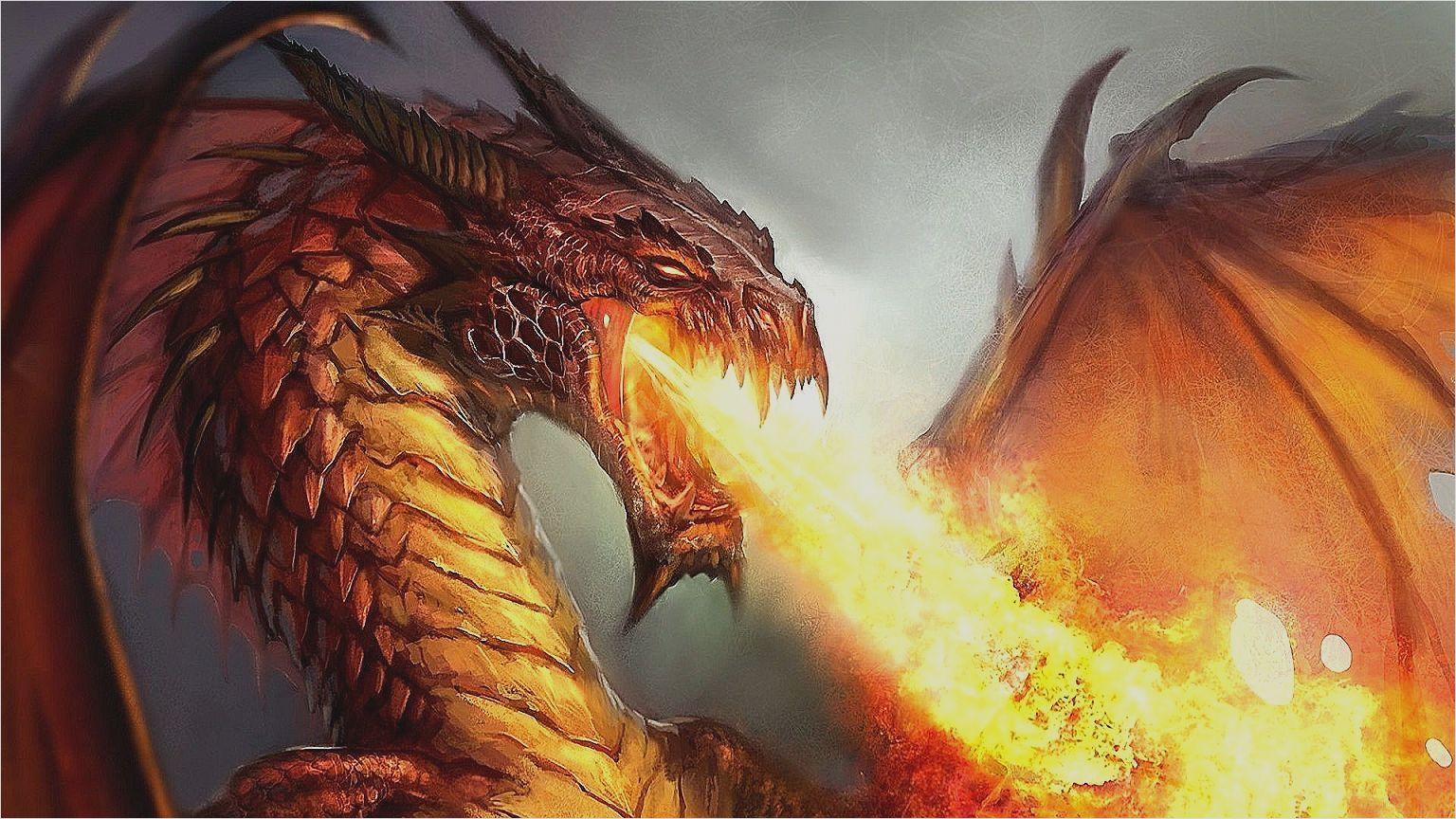 Epic Dragon Wallpapers - Top Free Epic Dragon Backgrounds - WallpaperAccess