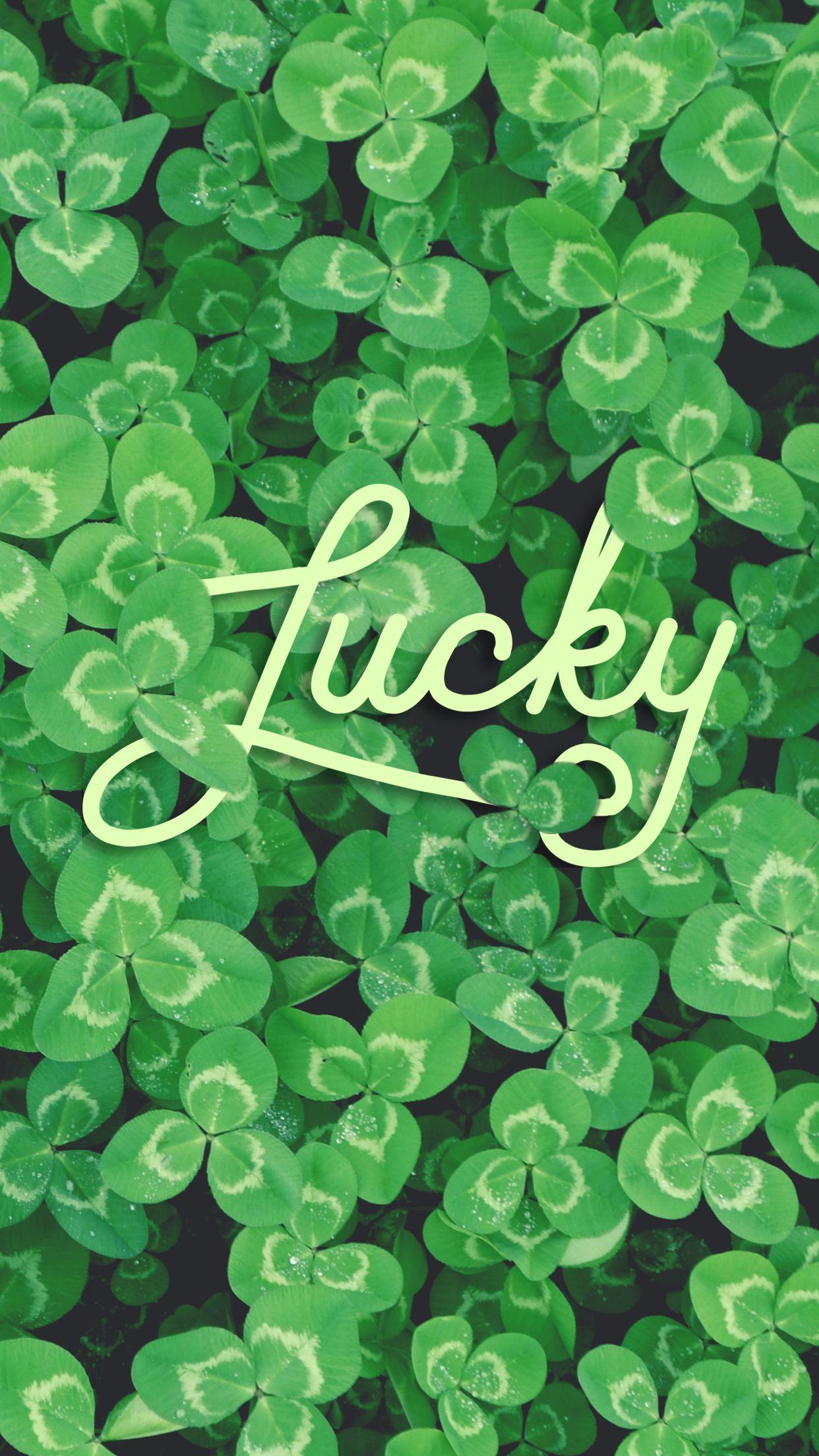 Lucky Clover Wallpapers - Top Free Lucky Clover Backgrounds ...