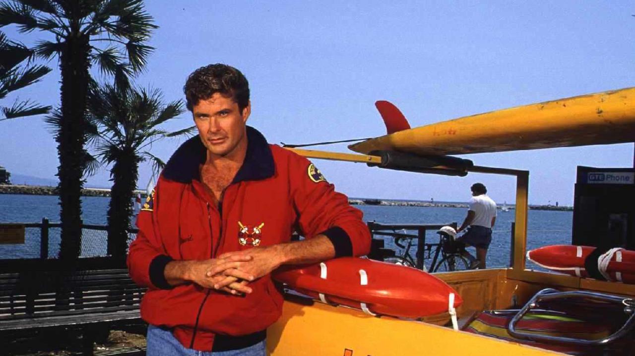 David Hasselhoff Wallpapers - Top Free David Hasselhoff Backgrounds ...