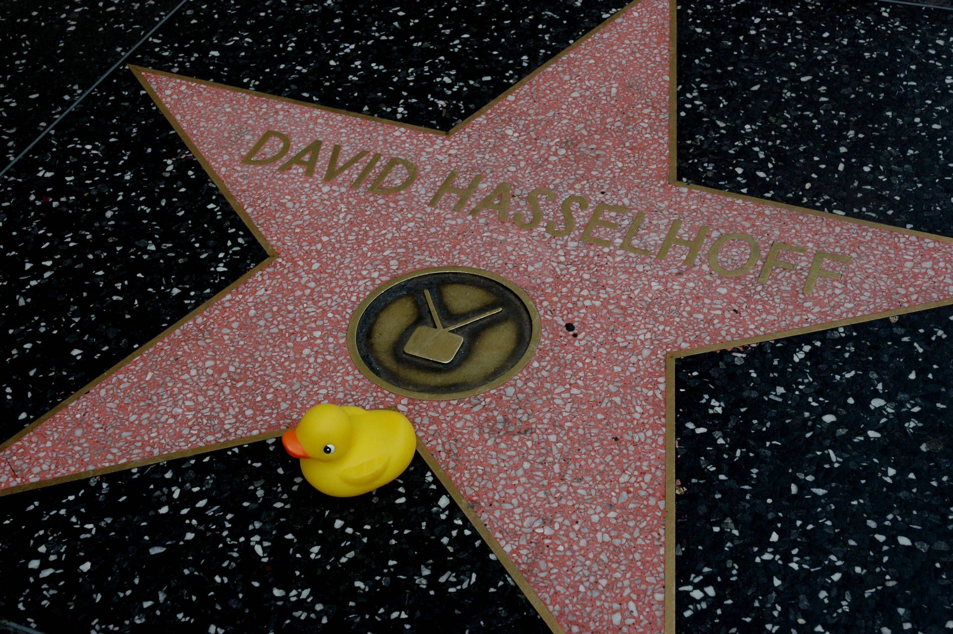 David Hasselhoff Wallpapers - Top Free David Hasselhoff Backgrounds ...