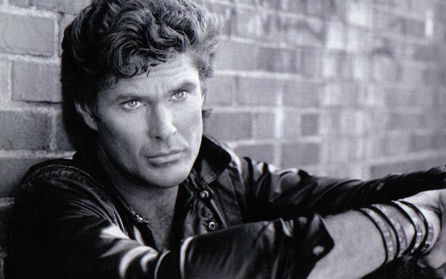 David Hasselhoff Wallpapers - Top Free David Hasselhoff Backgrounds ...