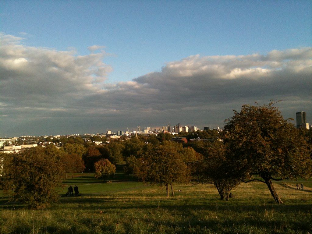 Primrose Hill Wallpapers - Top Free Primrose Hill Backgrounds ...