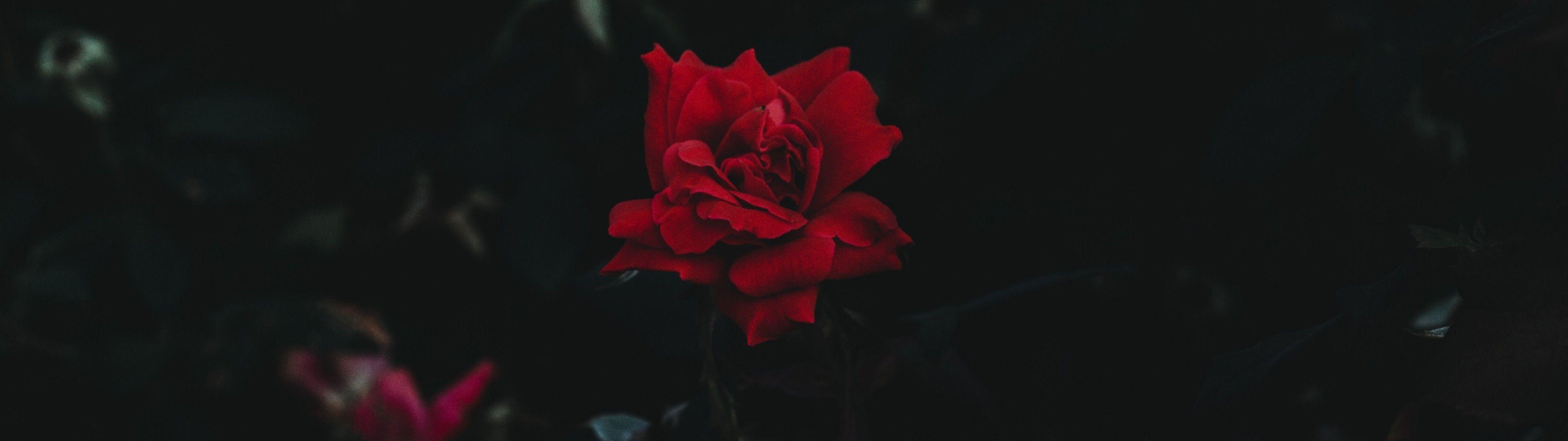 3840x1080 Red Wallpapers - Top Free 3840x1080 Red Backgrounds ...