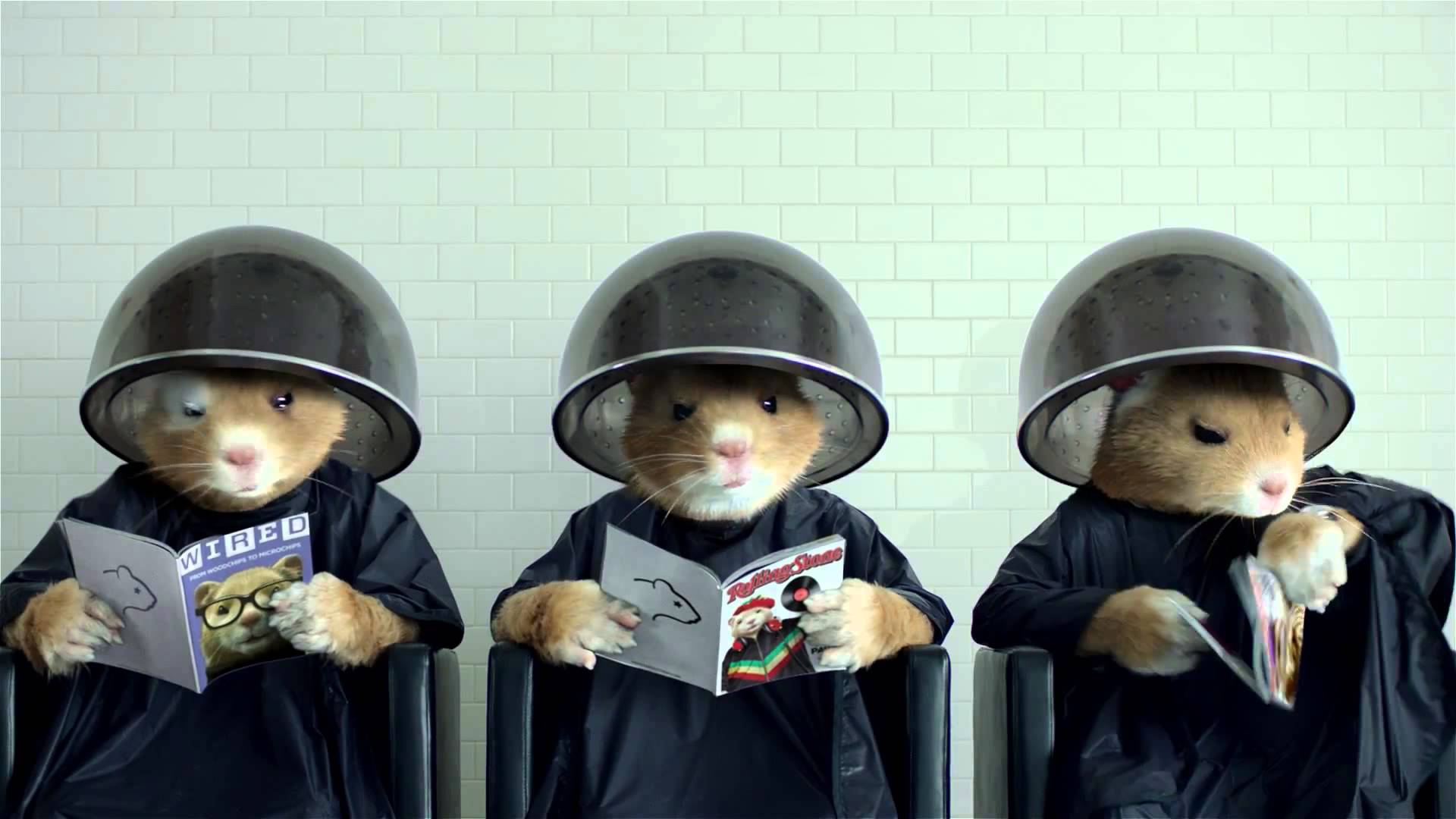 Commercial Wallpapers - Top Free Commercial Backgrounds - WallpaperAccess