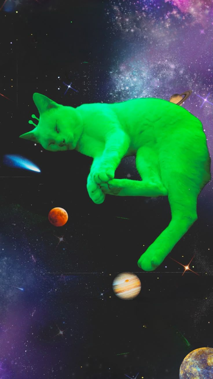 Alien Cat Wallpapers - Top Free Alien Cat Backgrounds - WallpaperAccess
